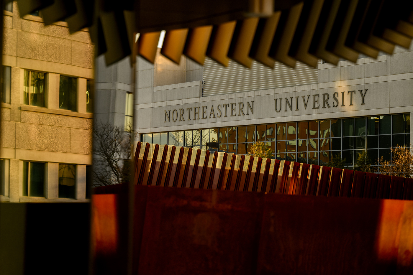Northeastern University Advancement